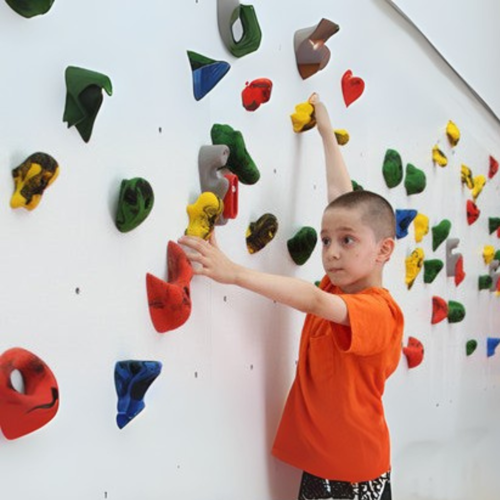 Everlast Climbing Dry-Erase Home Climbing Wall ECDisc — Kingdom Playground