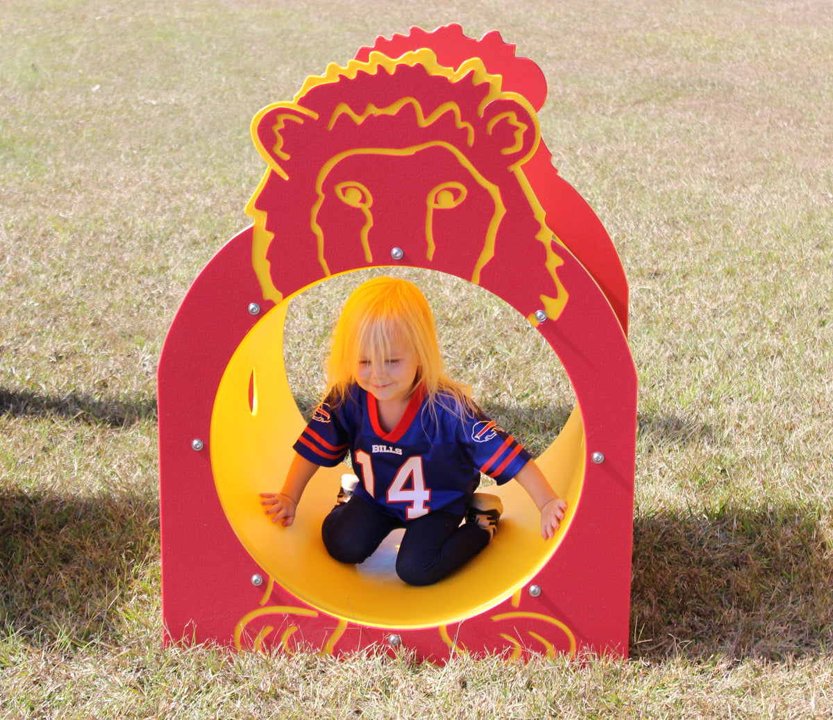 Infinity Playgrounds Larry the Lion Single Tunnel IP-8062 — Kingdom ...